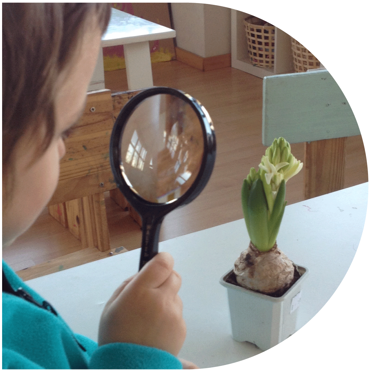 Infantil y Primaria: los primeros pasos - CreaNova School