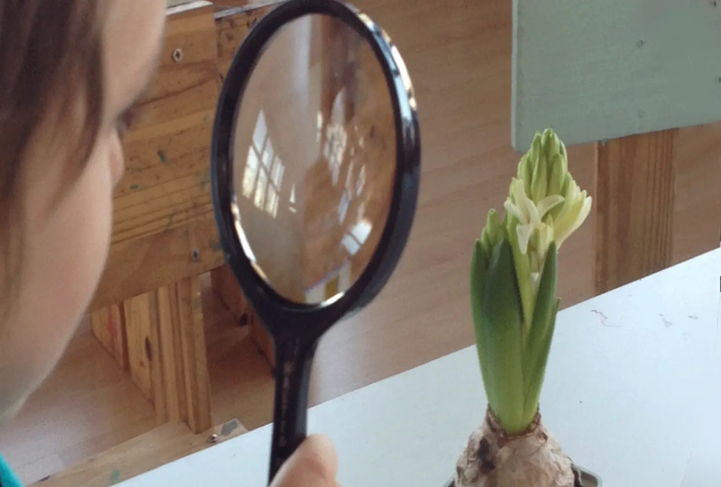 Infantil y Primaria: los primeros pasos - CreaNova School